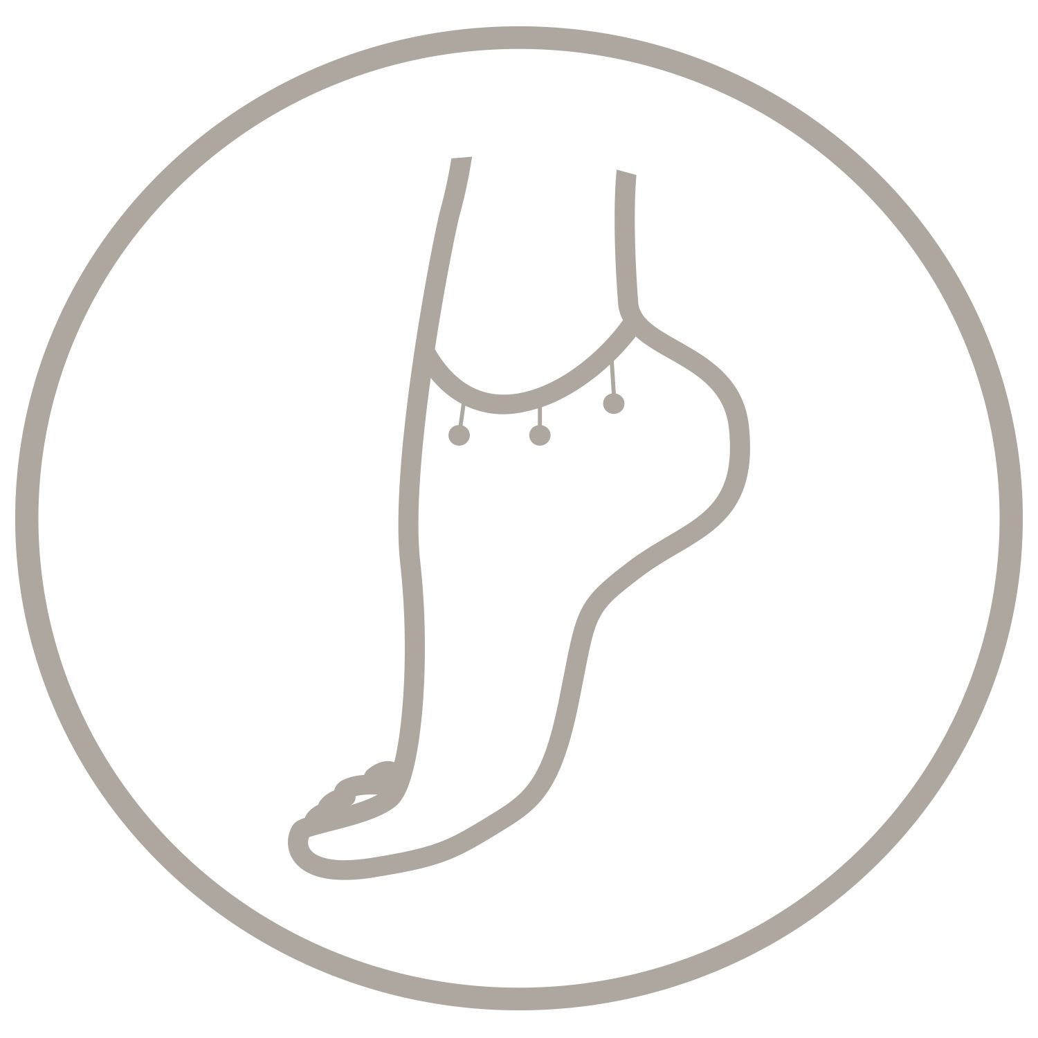 Pulsera tobillera - Simply - : - online en BIJOU BRIGITTE